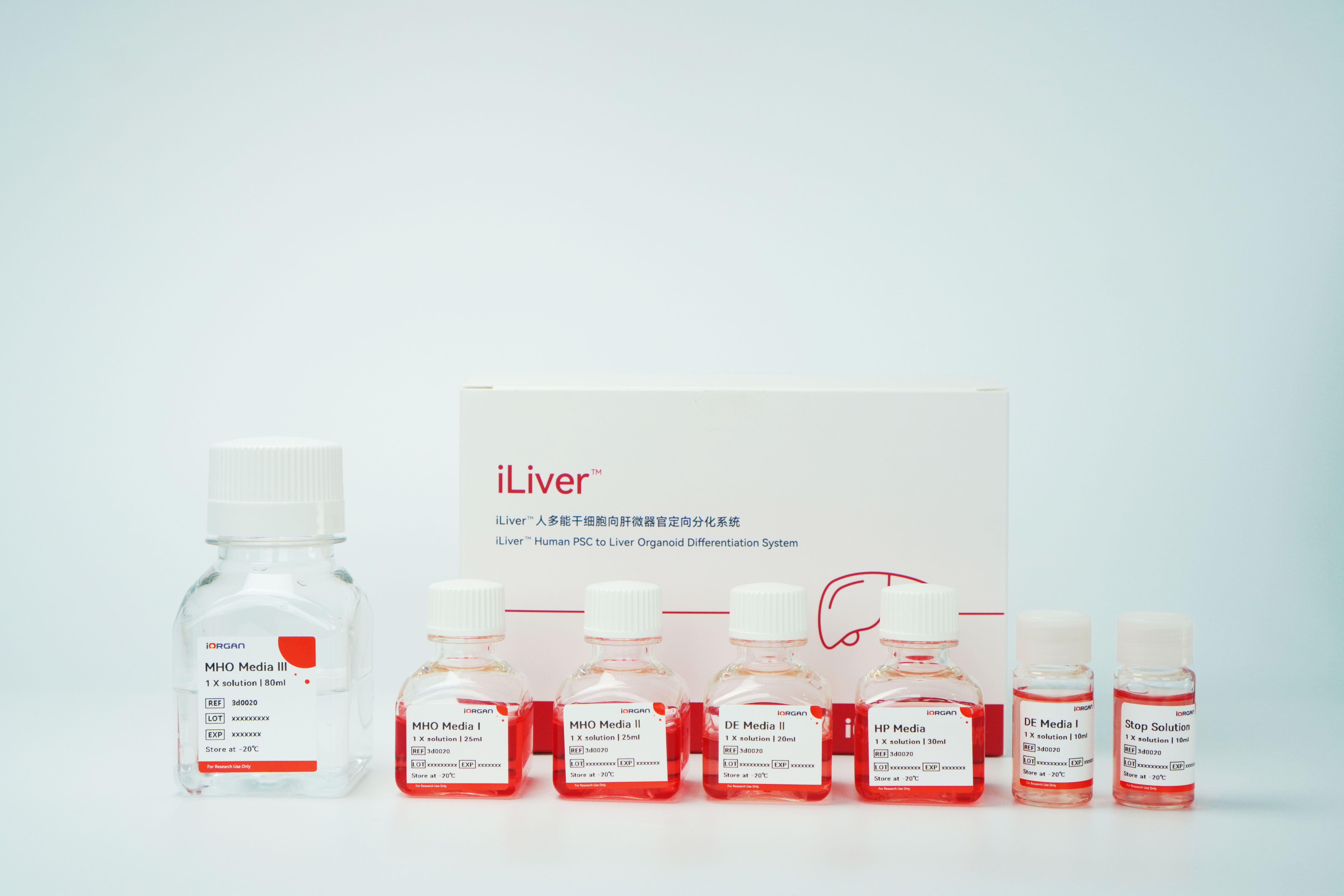 人多能干细胞向肝微器官分化系统_淇嘉科技